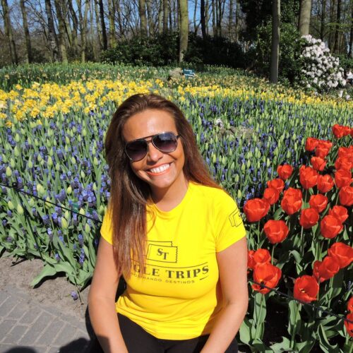 Renata Guedes, Autor em Mobilidade Sampa