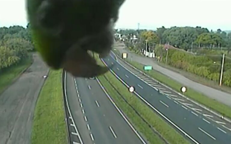 Arteris Intervias recebe visita inusitada de maritaca em rodovia ...